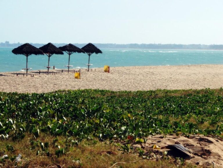 Praias de Maceió, região metropolitana - Litoral Norte