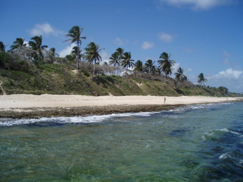 Litoral Sul de Maceió: Roteiro com as melhores praias